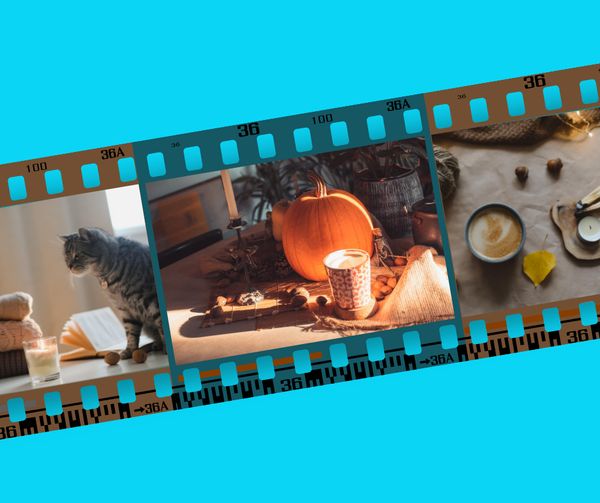 3 Things You Must Know About How To Use Royalty Free Images In Your ...